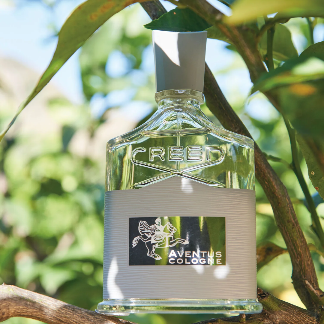 Creed Aventus Cologne Eau de Parfum – Perfume Network India